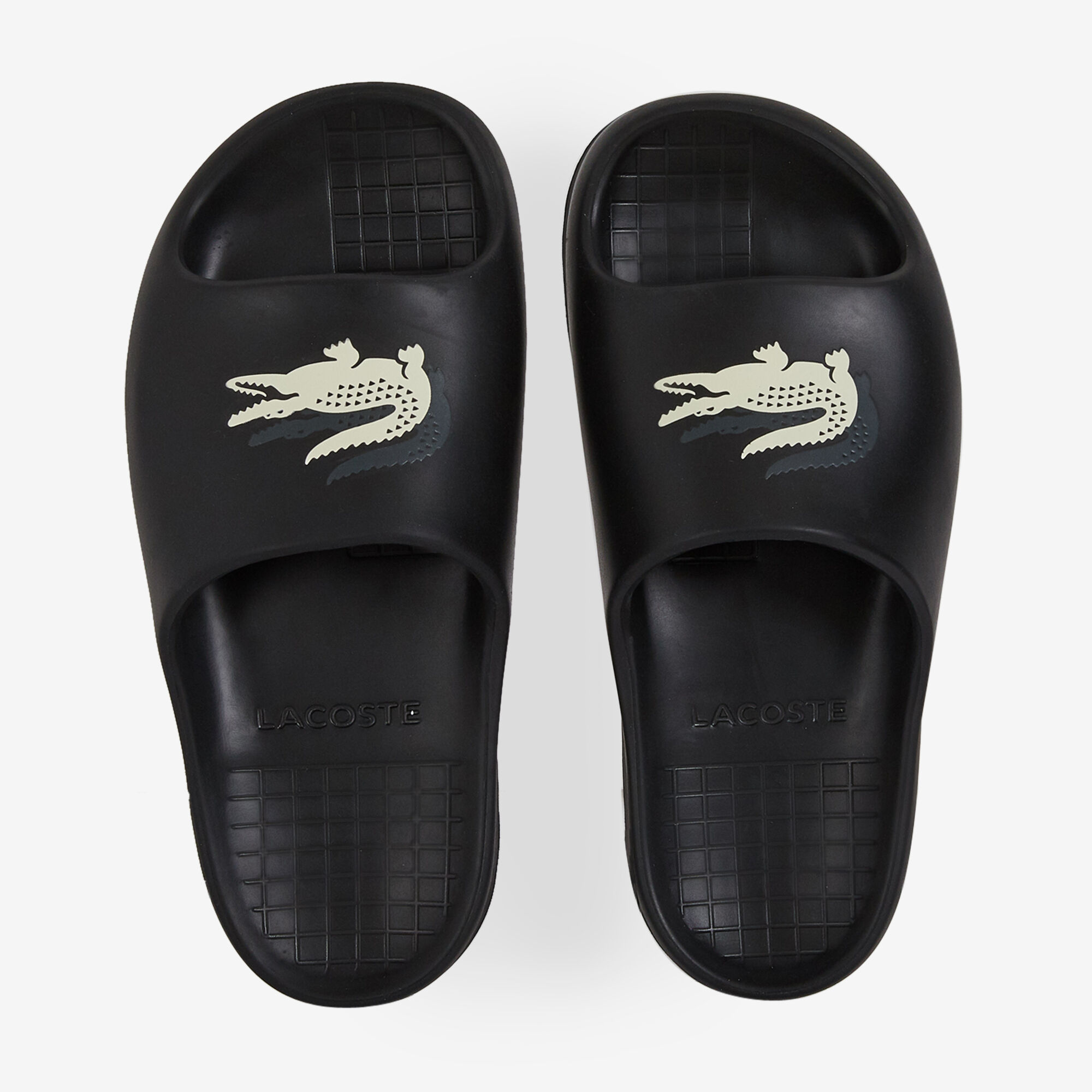 LACOSTE CROCO V2 ZWART - ZOMER DAMES | Courir.com