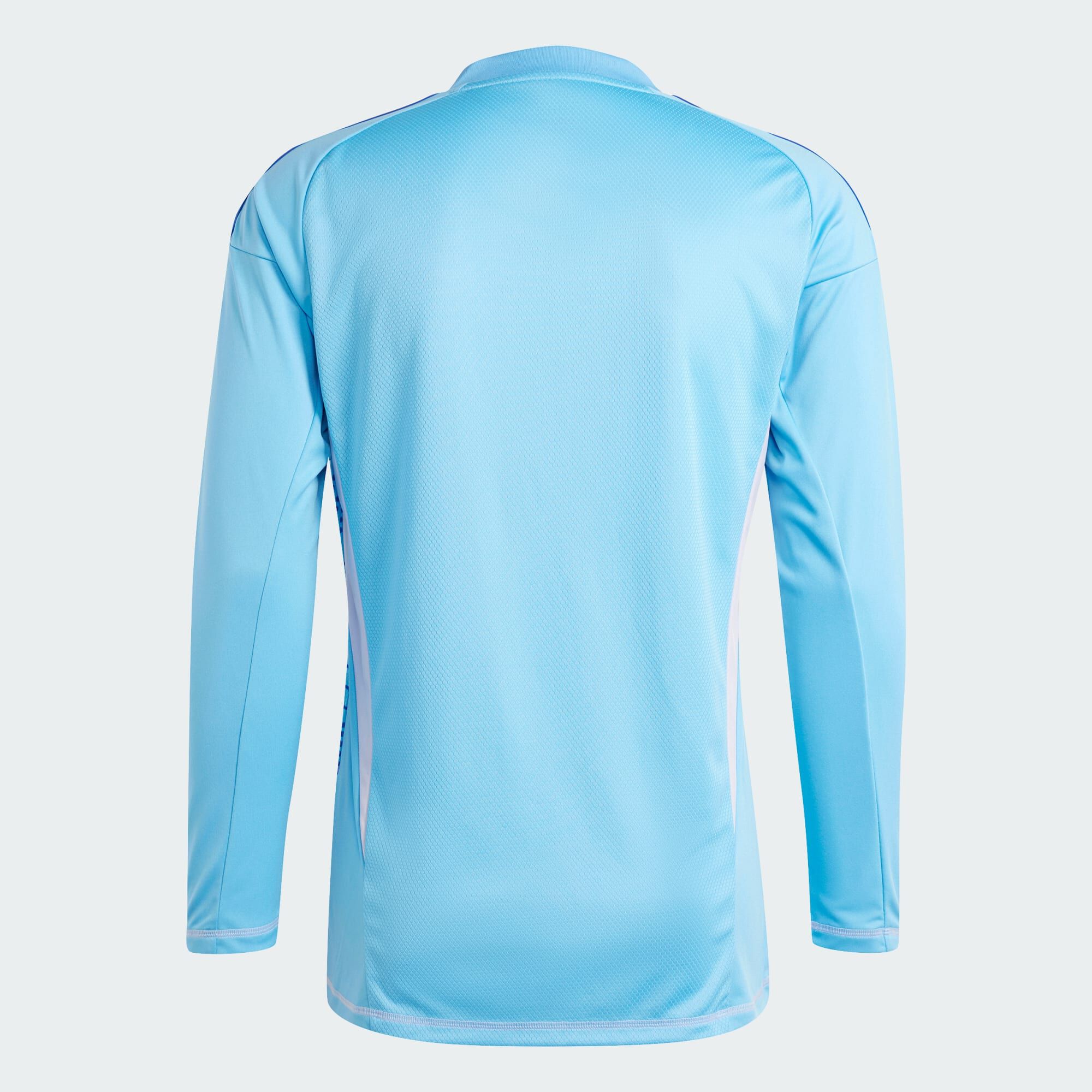 ADIDAS ORIGINALS TIRO 24 COMPETITION LONG SLEEVE GOALKEEPER JERSEY Semi ...